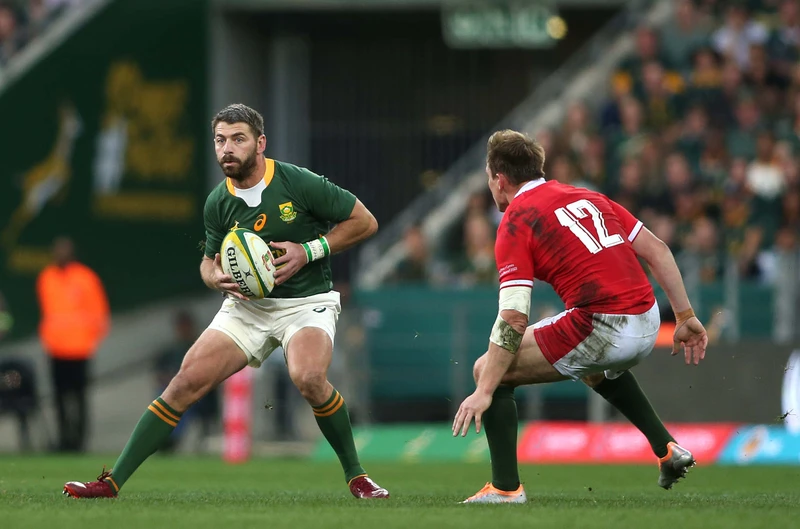 Not your usual Test: Springboks vs. Wales explained - SportBurea