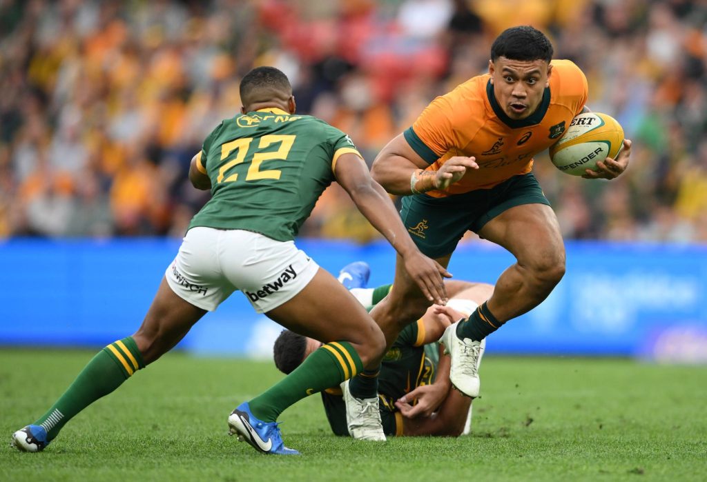 Springboks back-row boost as hugely talented brothers become available ...