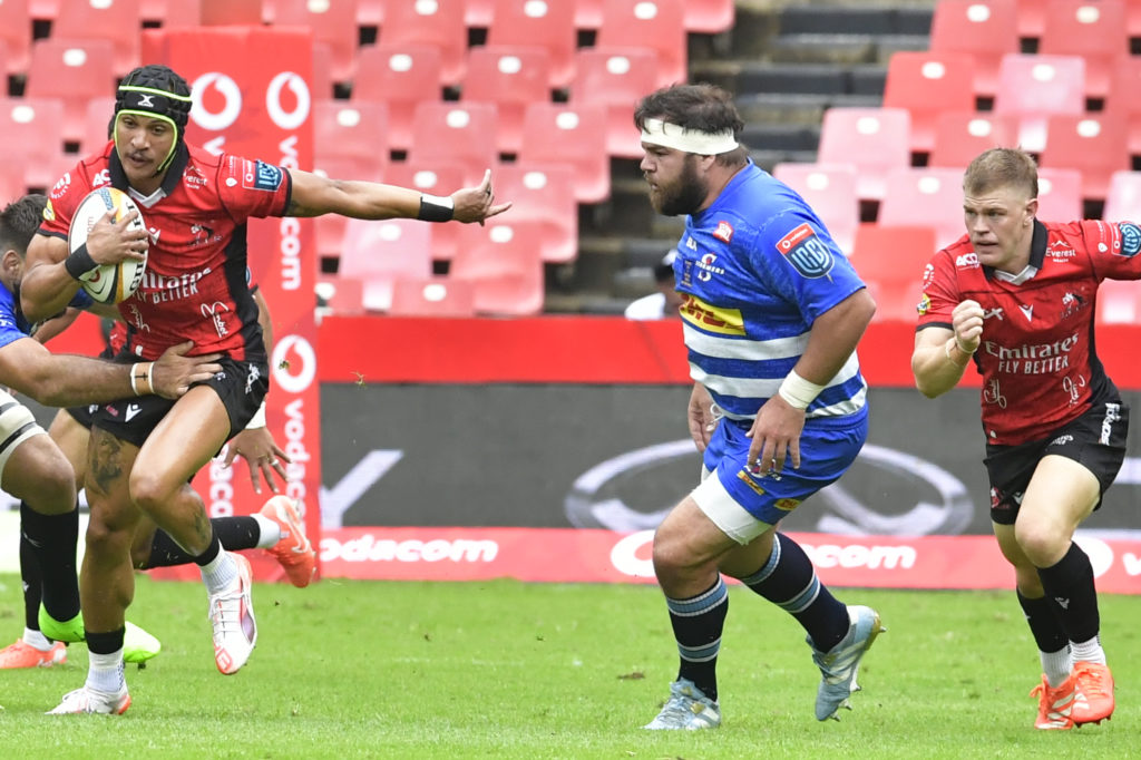 Reports: Sharks to Poach Springbok Hot-Stepper - SportBurea